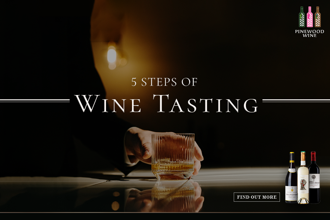 【Wine Knowledge】 5 Steps of Wine Tasting – Pinewood Wine