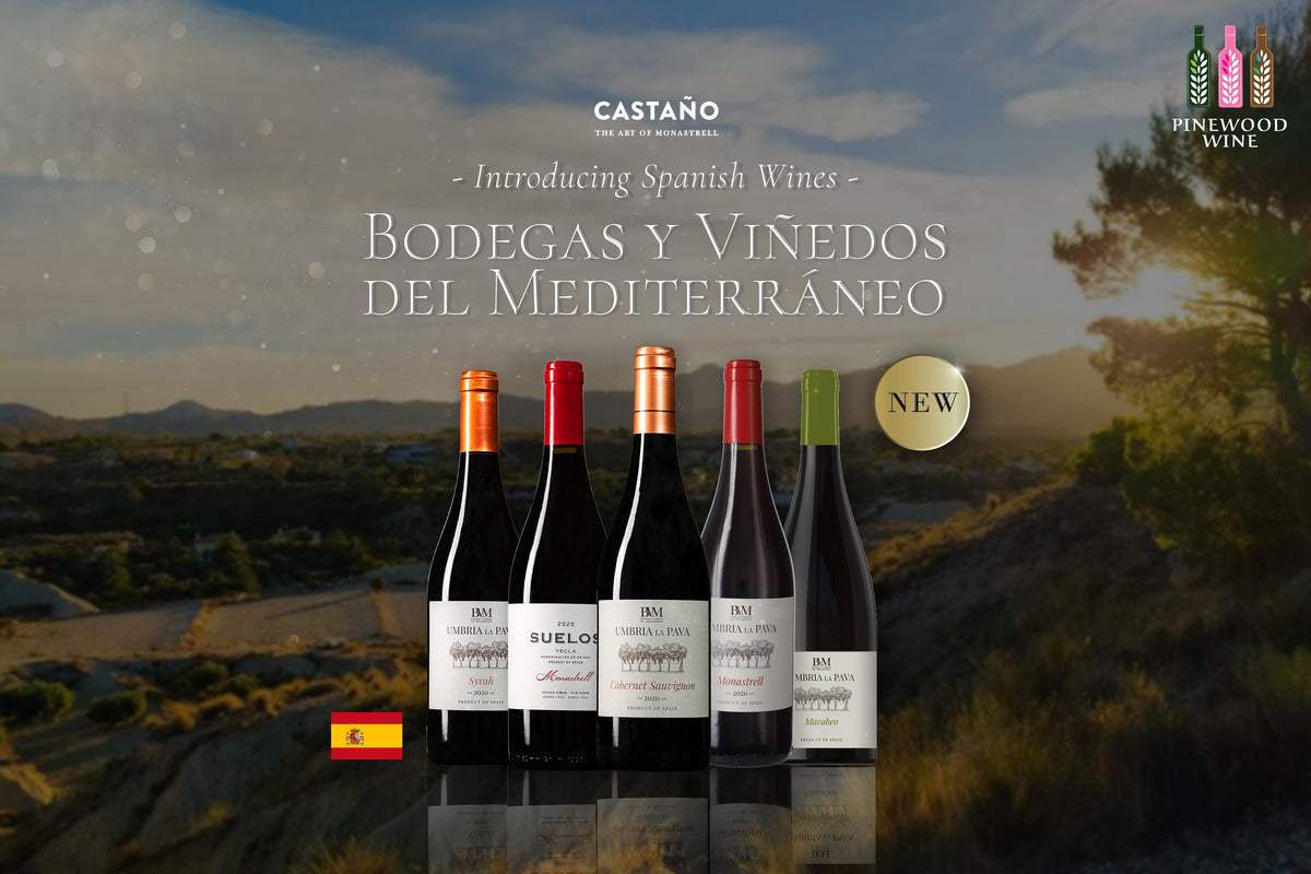 【New Brand】Castaño & Co – Pinewood Wine